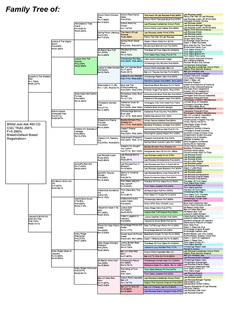 BWild Just Ask | PDF