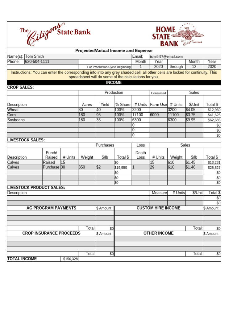 Income and Expense Worksheet | PDF
