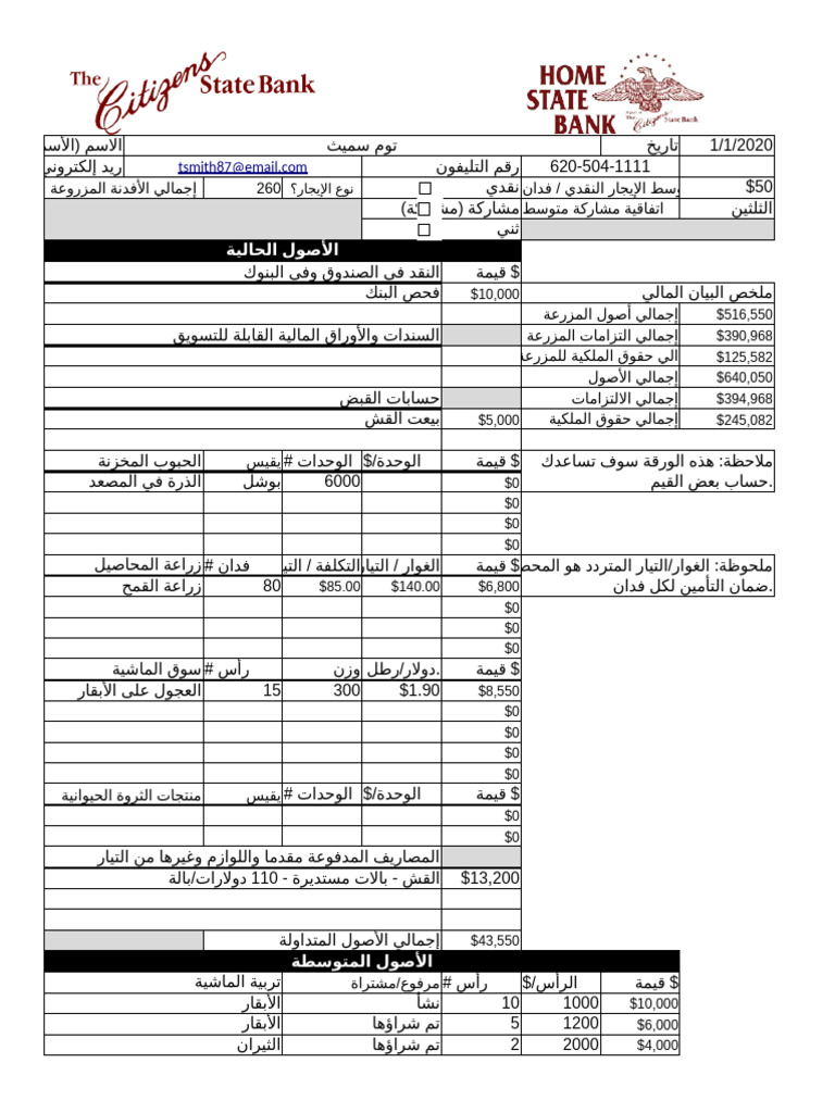 Financial-Statement-Worksheet en Ar | PDF