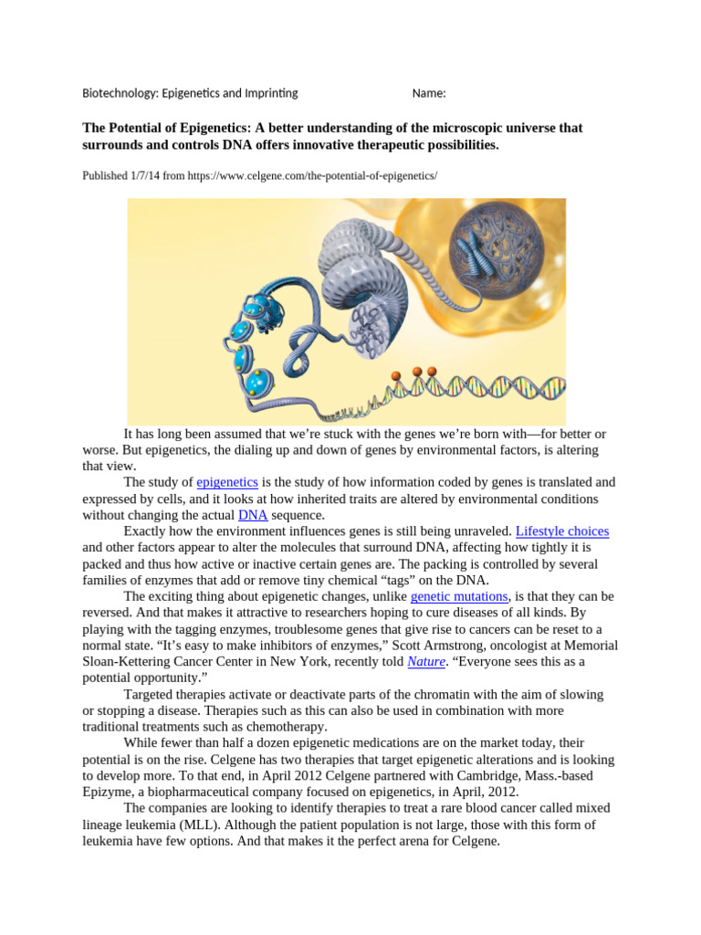 Epigenetics and Imprinting | PDF