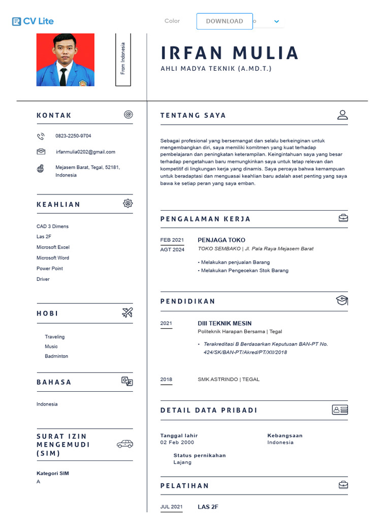 Irfan Mulia: CV Lite | PDF