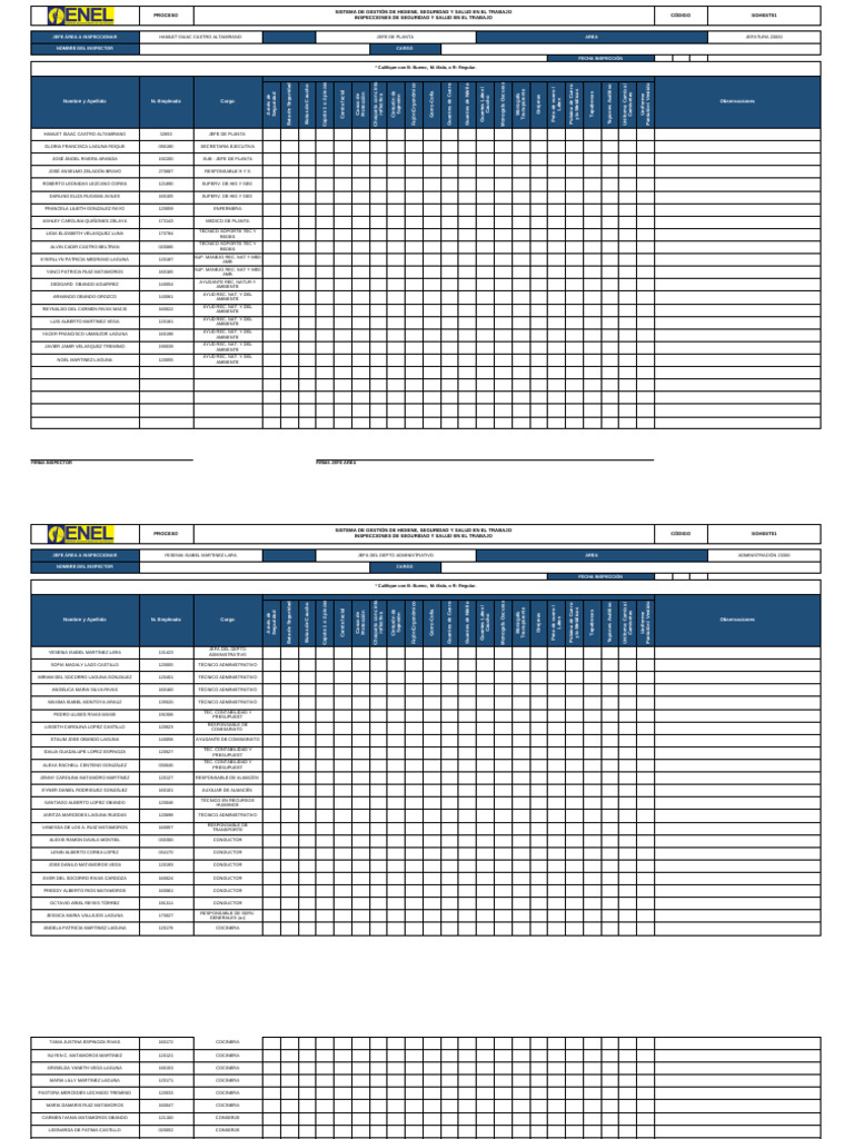 Formato de inspeccion EPP | PDF