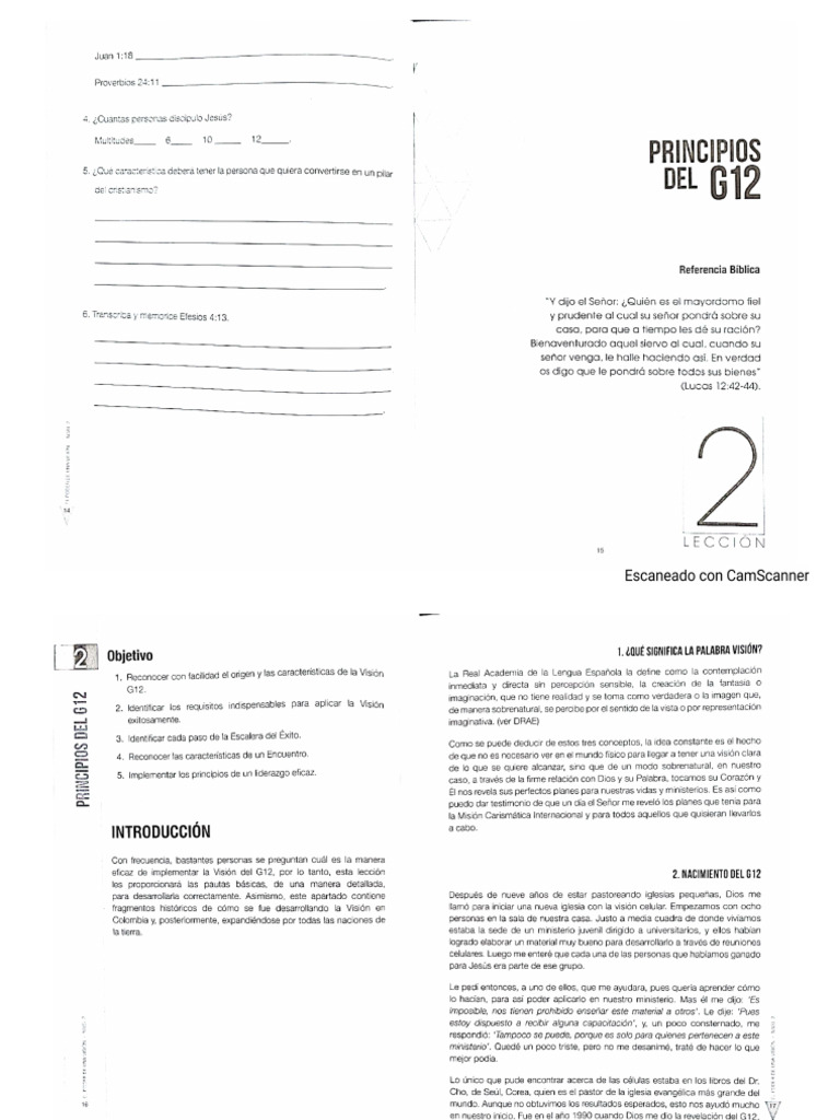 LECCIÓN 2 - M2 (Visión) - Principios Del G12 | PDF
