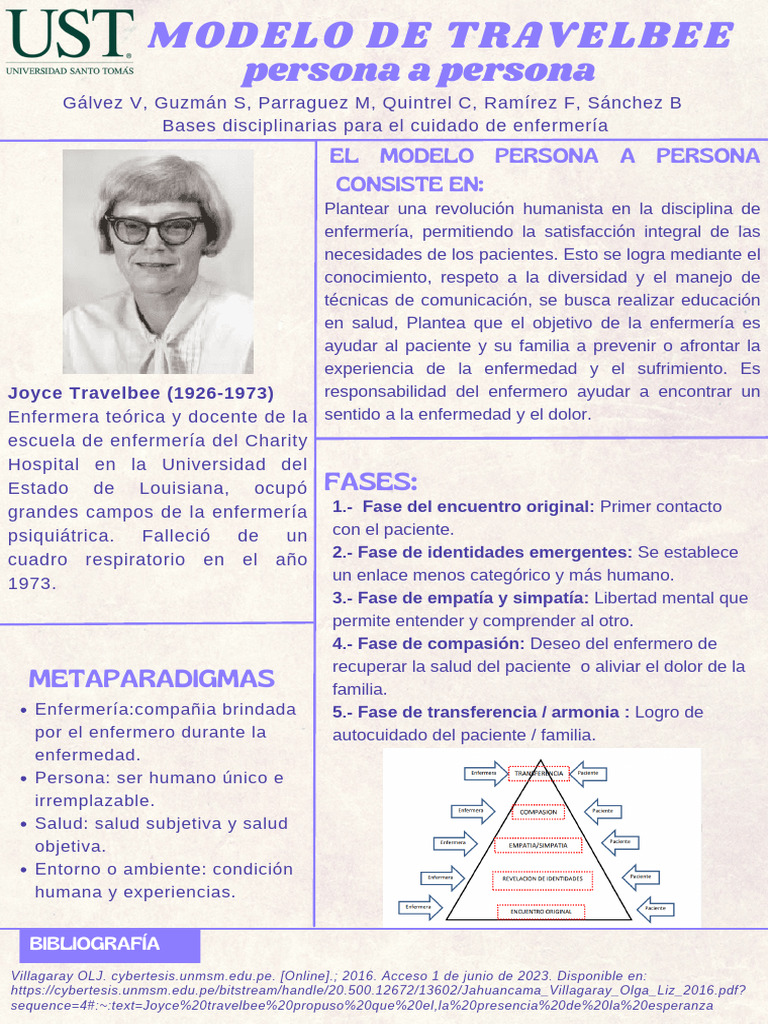 Modelo Travelbee | PDF