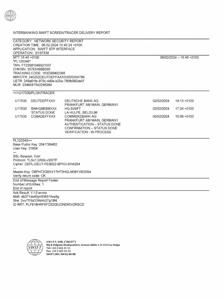 Interbanking Swift Screen Tracer Delivery Report 06 02 2024 Swift | PDF