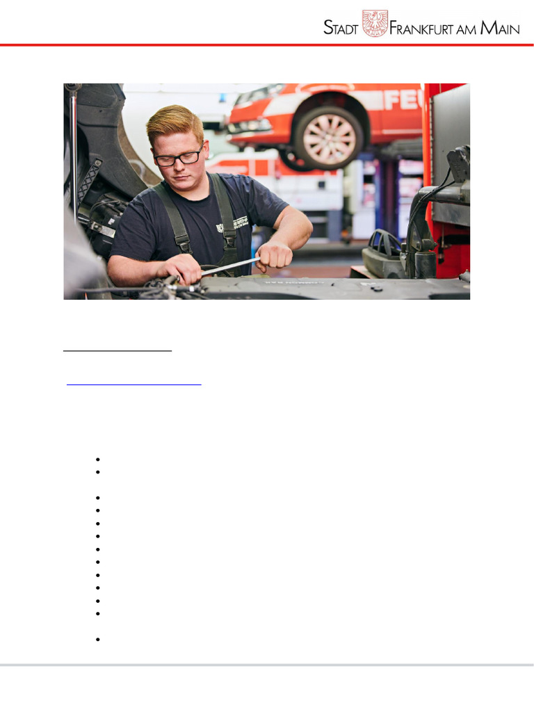 KFZ Weitere Informationen | PDF