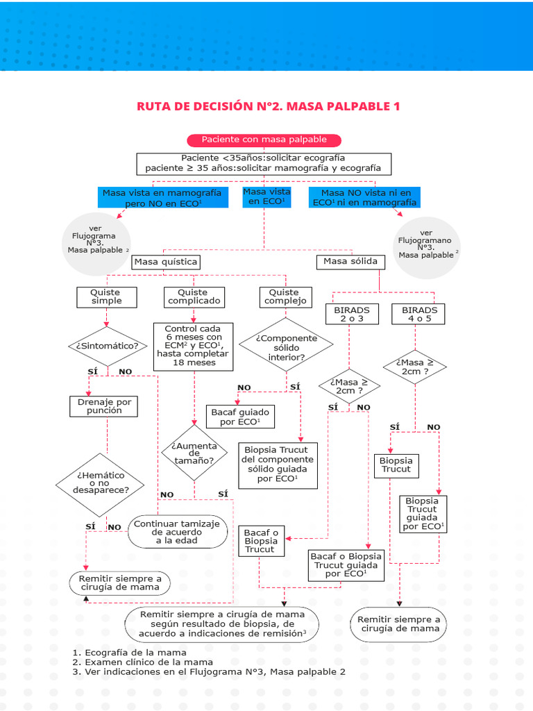 Ruta de Decisión N°2. Masa Palpable 1 | PDF