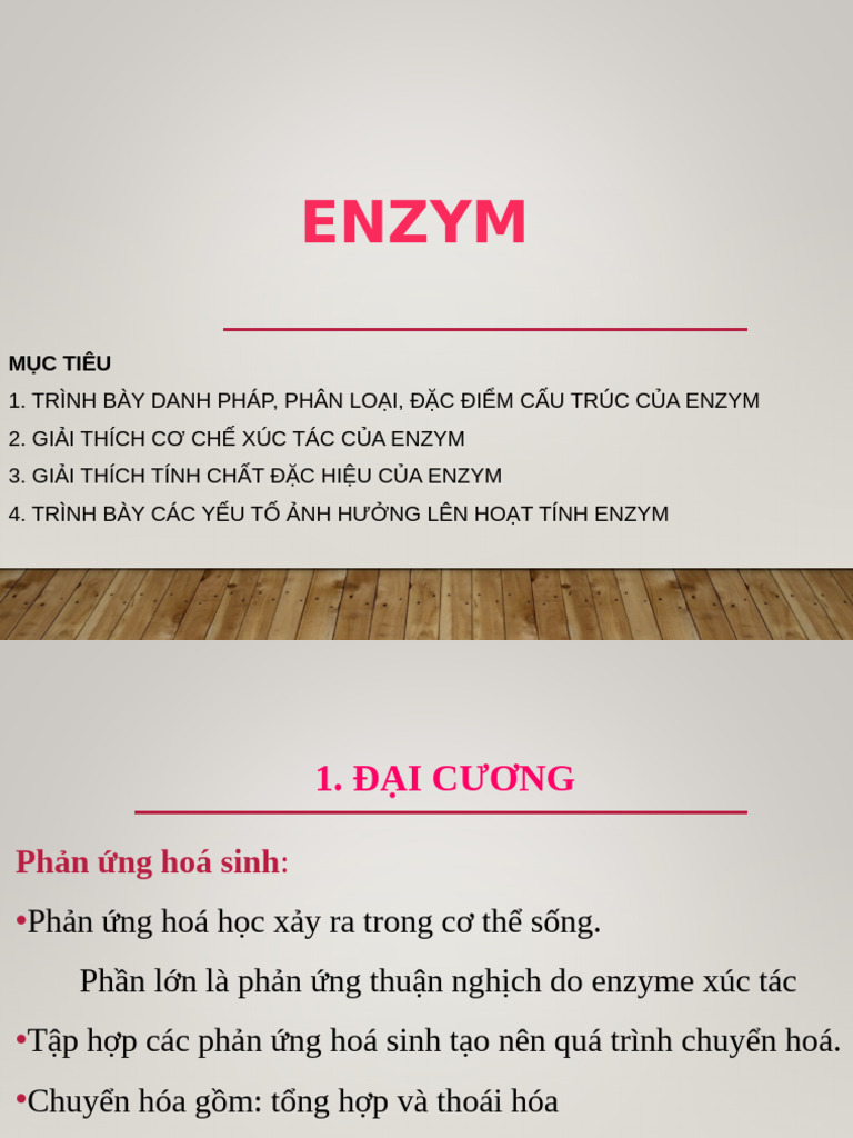 Enzym 1 | PDF