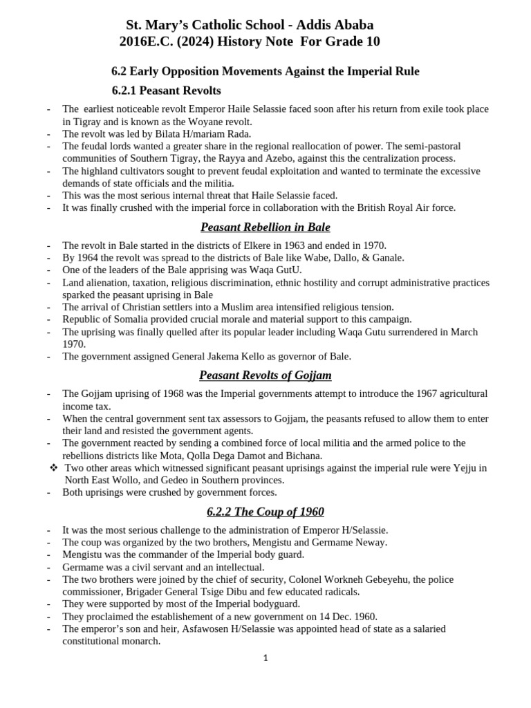 History Note For Grade 10 6.2 Early Opposition | PDF