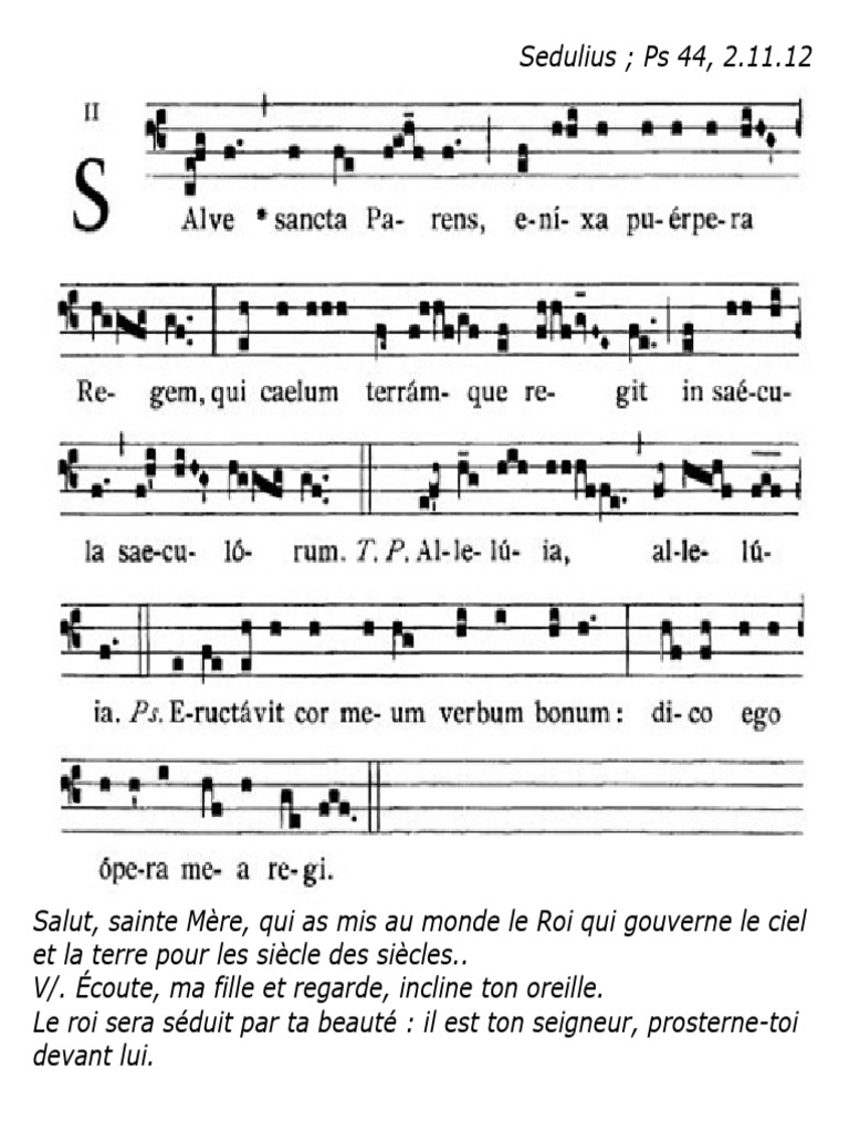 0101 SMMD in SalveSanctaParens | PDF