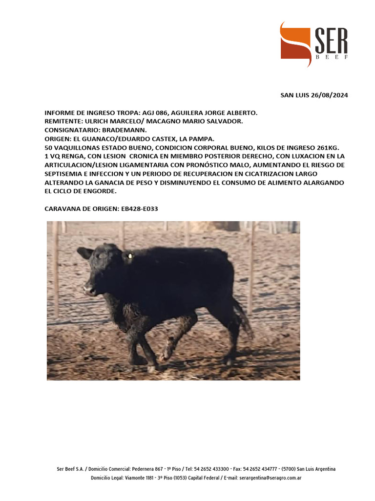 Informe Agj 086 | PDF