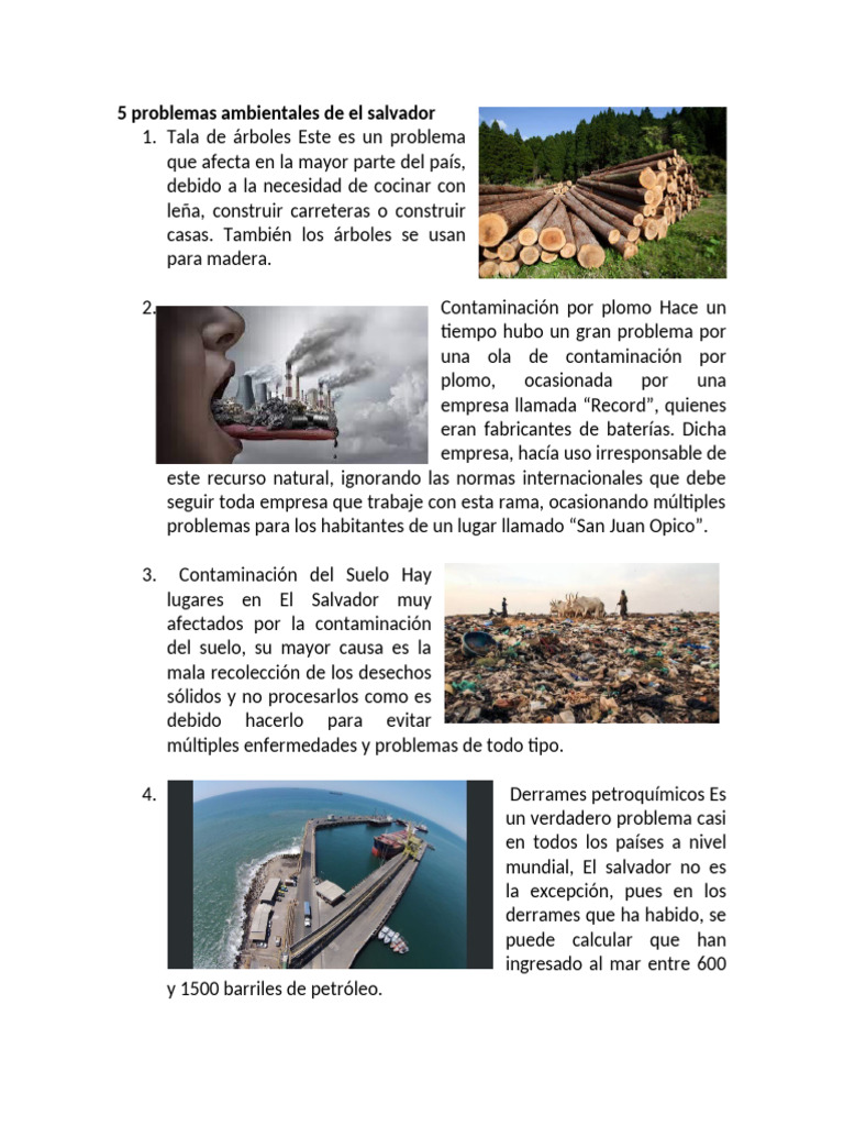 5 Problemas Ambientales De El Salvador Pdf