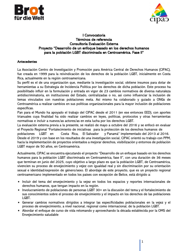 Tdrs Evaluacion de Proyecto Agosto 19 | PDF