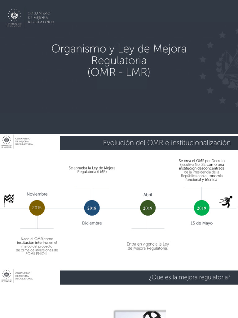 Presentacion General LMR | PDF