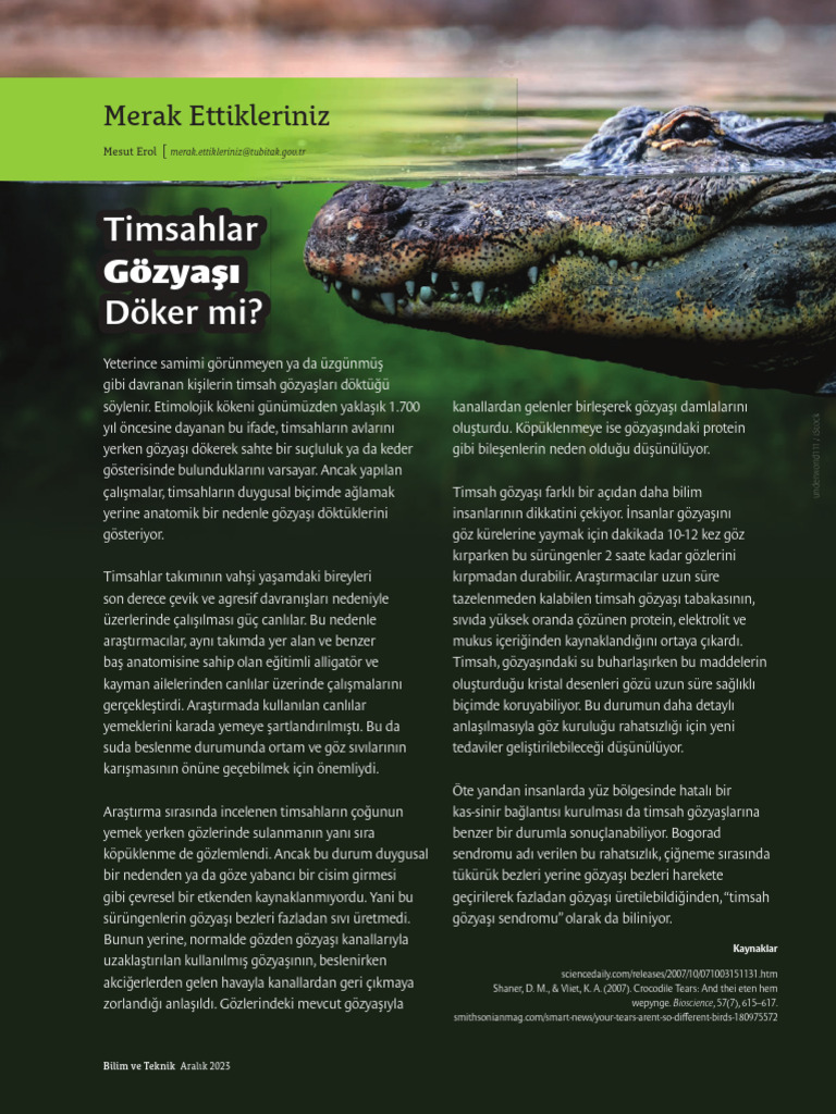 timsah | PDF