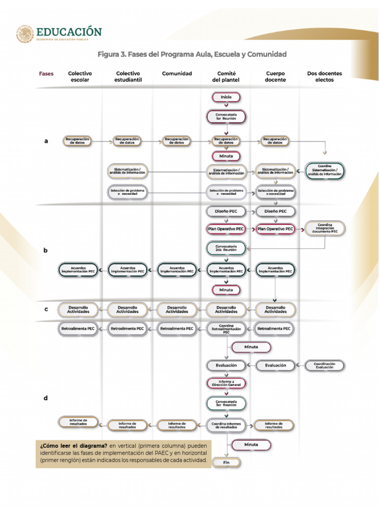 Fases Del PAEC | PDF