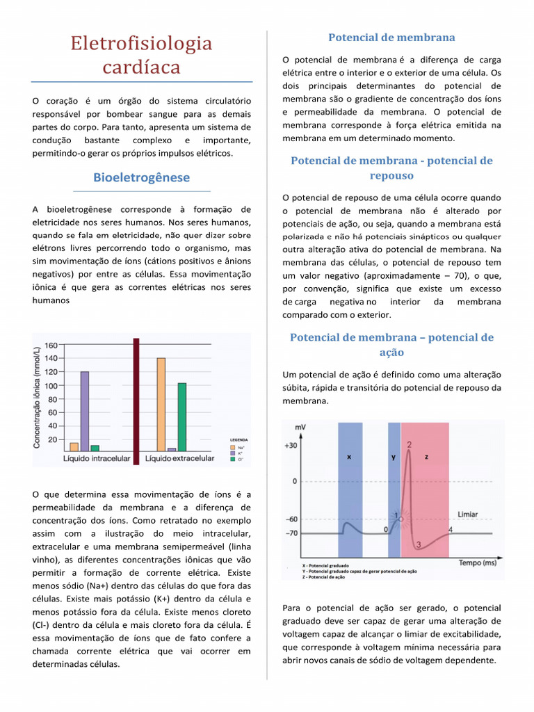 Apg 4semana Apoio | PDF