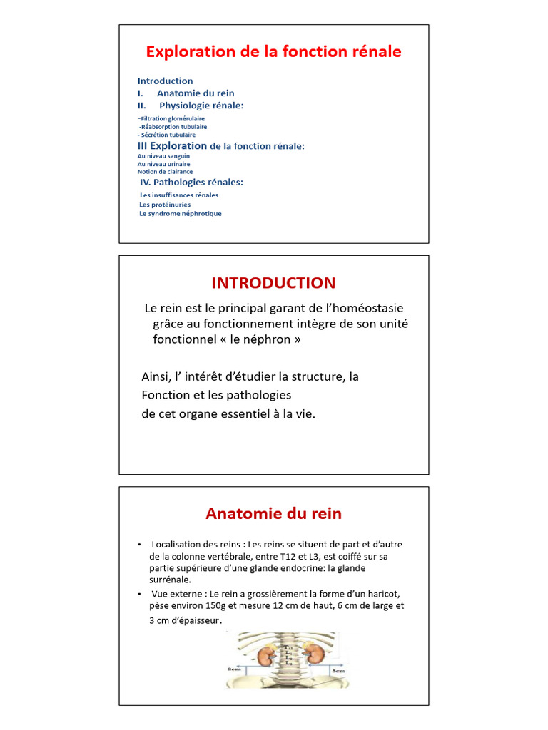 Exploration de La Fonction Rénale (8 Files Merged) | PDF