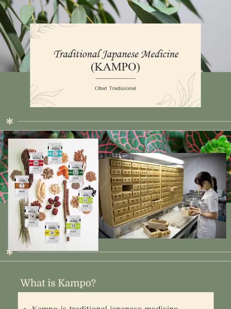 Japanese Traditional Medicine (Kampo) | PDF