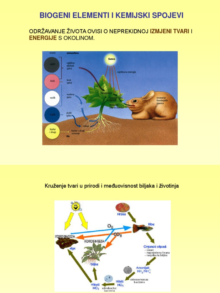 Biogeni Elementi I Kemijski Spojevi | PDF