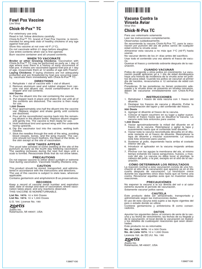 Chick N Pox - TC | PDF