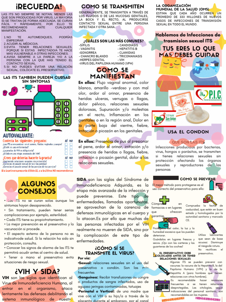 Folleto ITS NUEVO ULTIMO | PDF