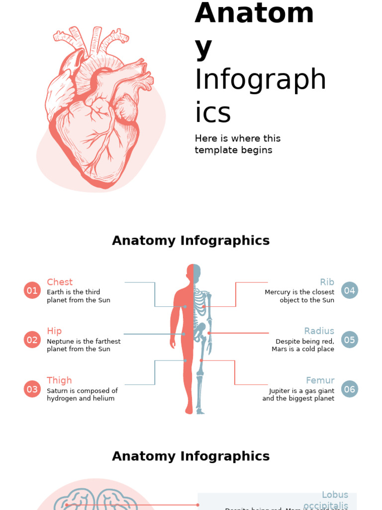 Anatomy Infographics by Slidego | PDF