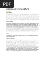 Ficha Técnica del Crotón: Cuidados y Variedades | PDF | Fertilizante | Hoja
