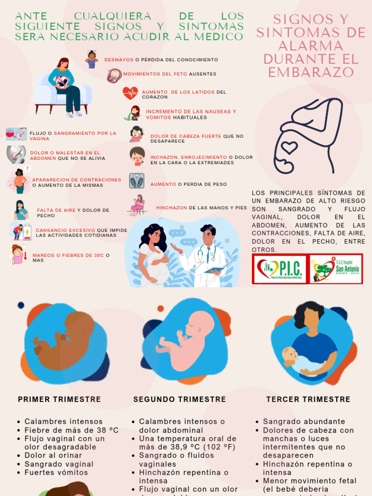 Folleto Signos y Sintomas de Alarma Durante El Embarazo | PDF