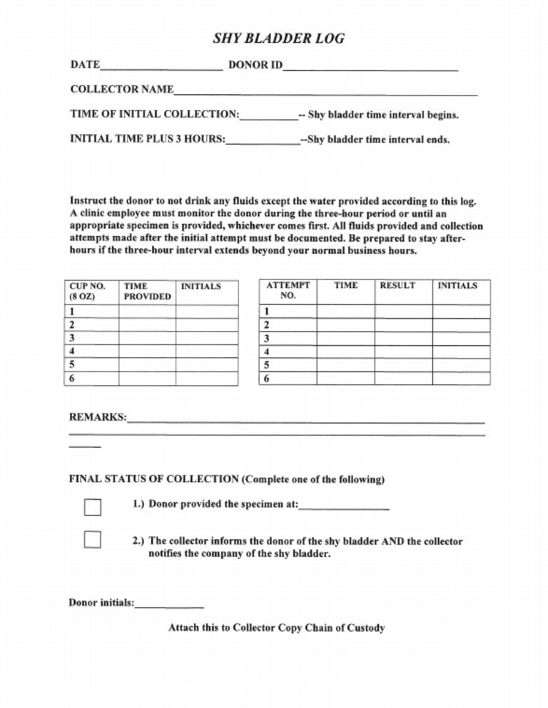 SHY BLADDER LOG | PDF