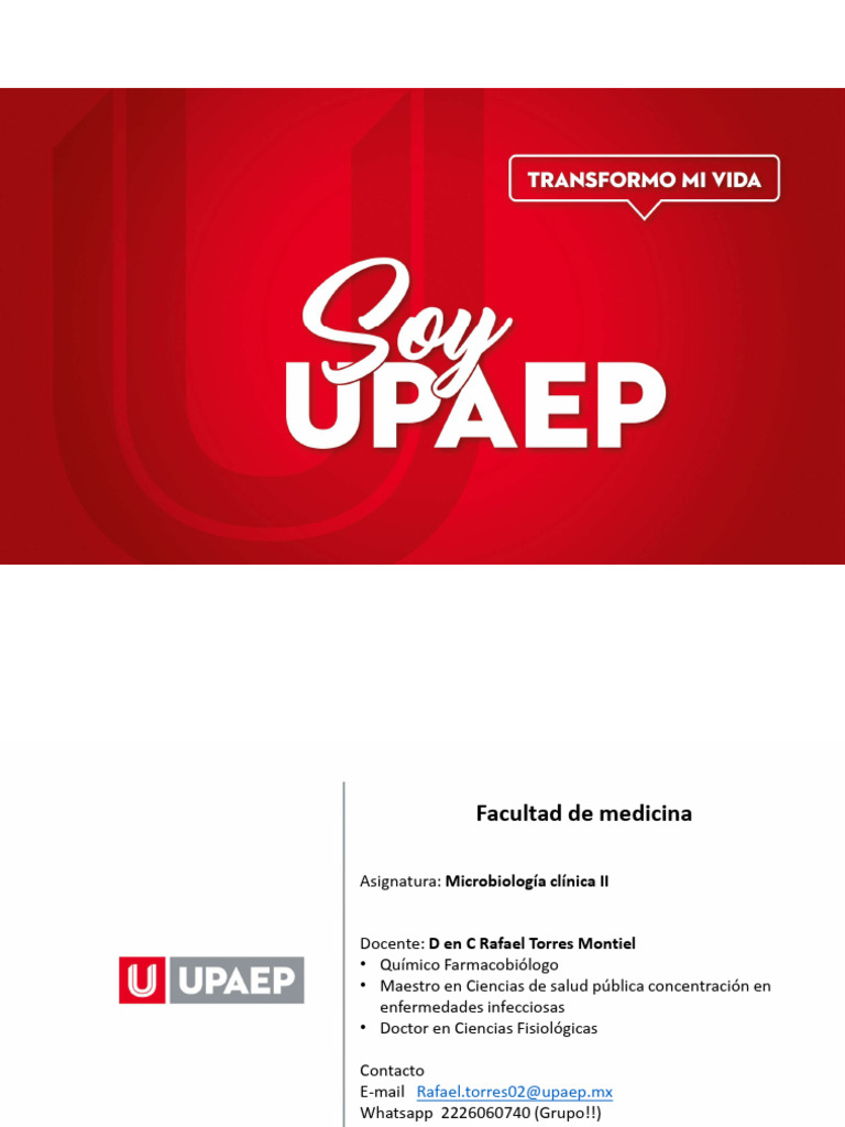 Presentación Micro II Parte 1 | PDF