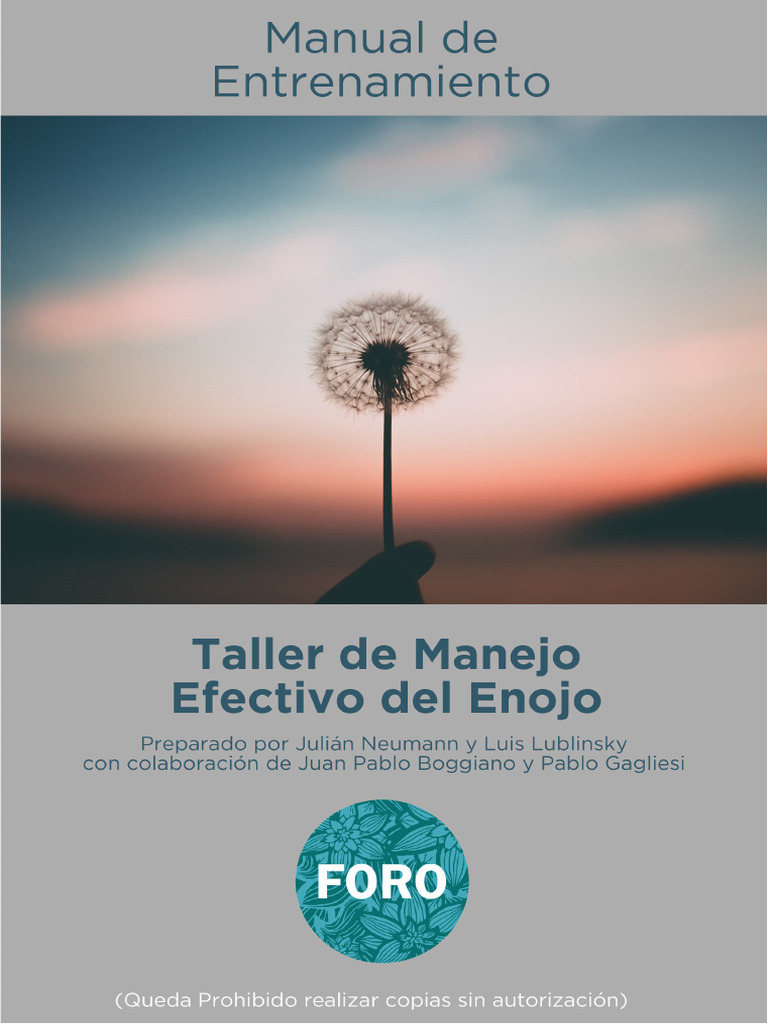 Manejo Del Enojo | PDF