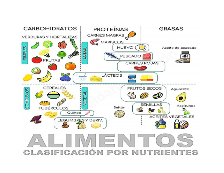 Clasificación de Alimentos | PDF