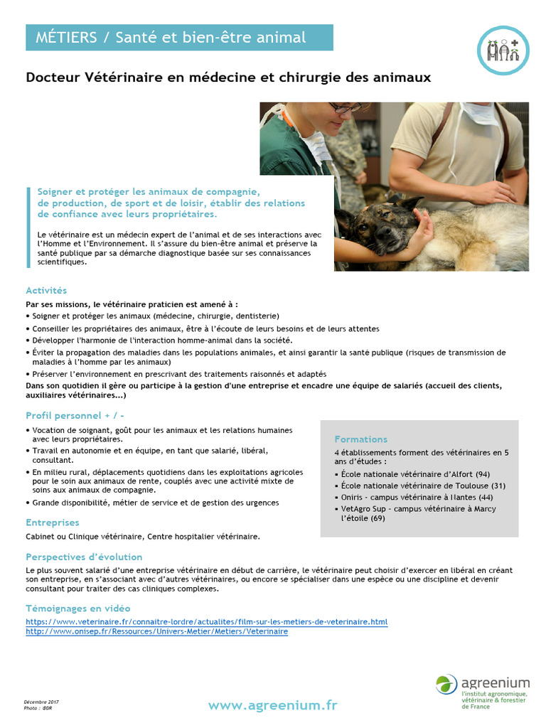 Fiche - Metier Docteur - Veterinaire Dec2017 VF | PDF