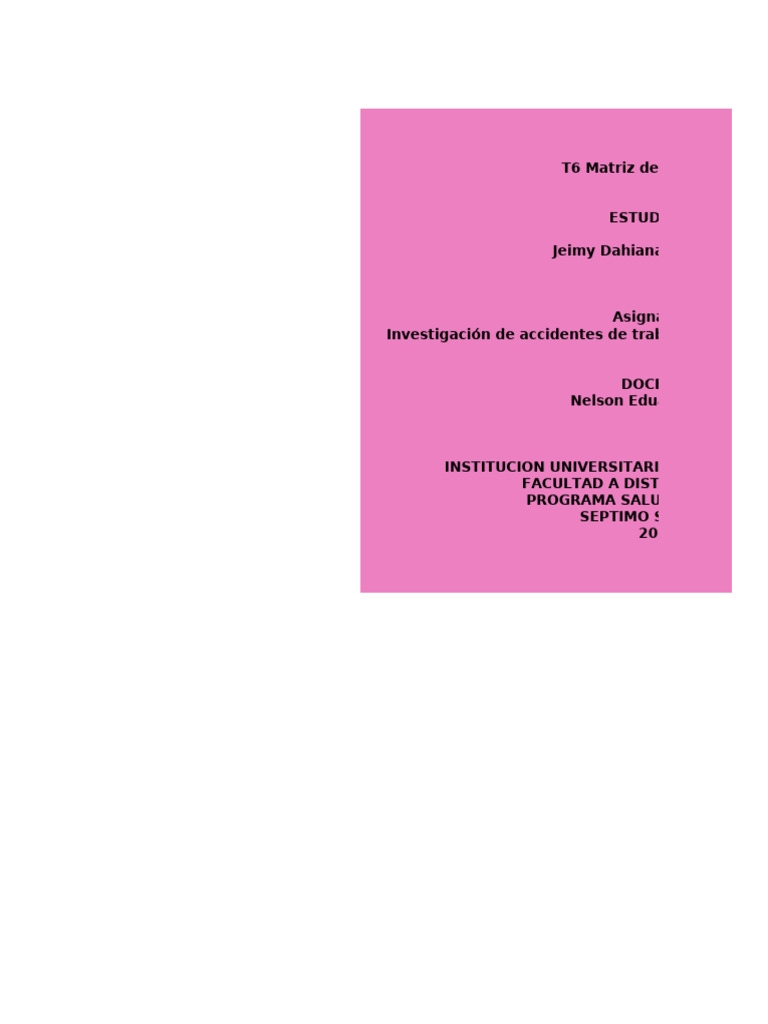 t6 Matriz de Indicadores Individula - 7491 | PDF