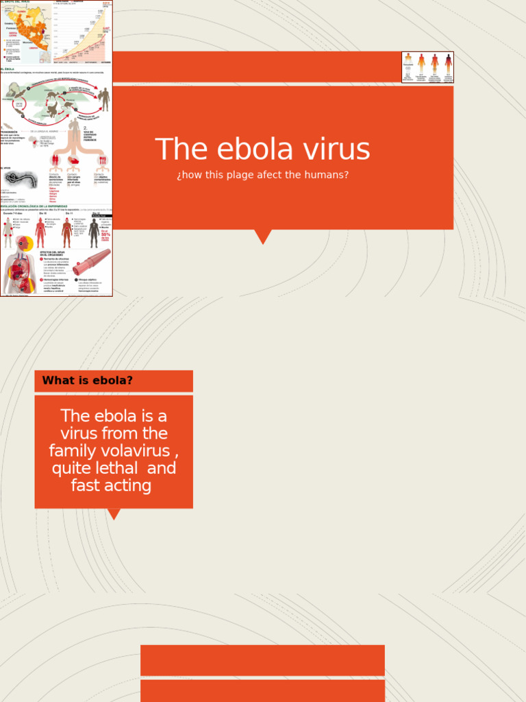 The ebola virus | PDF