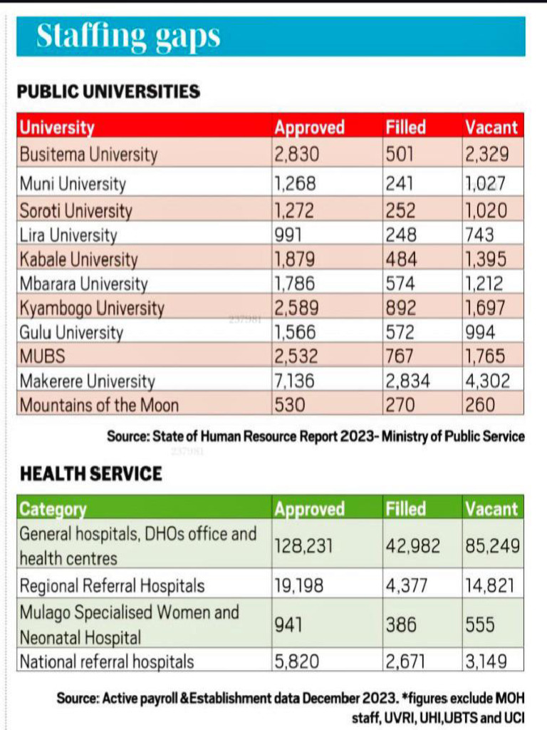 Staffing Gaps | PDF