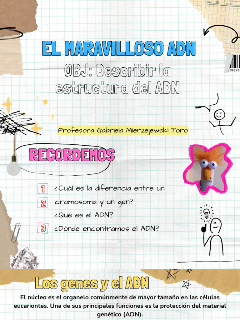 ADN | PDF