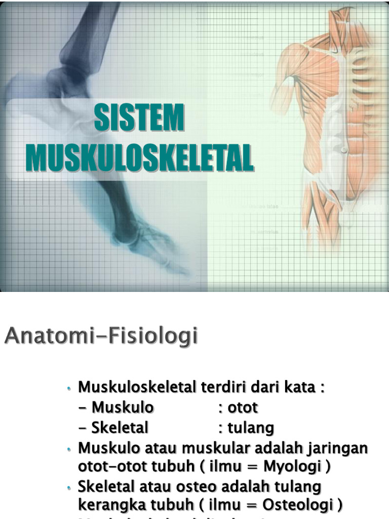 Anatomi Fisiologi Muskuloskeletal_TLM | PDF