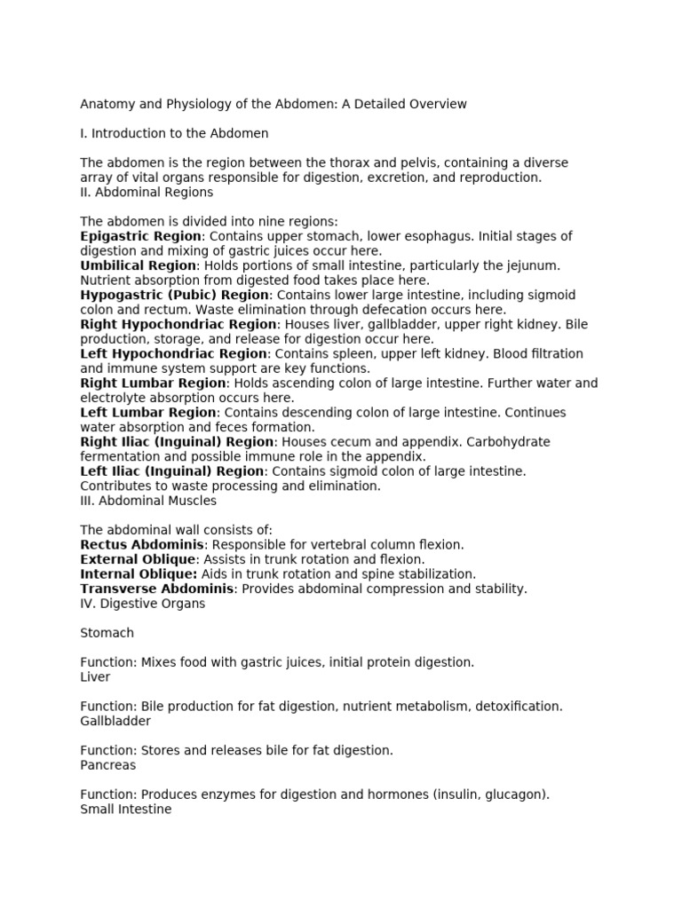 Anatomy and Physiology of The Abdomen | PDF | Abdomen ...