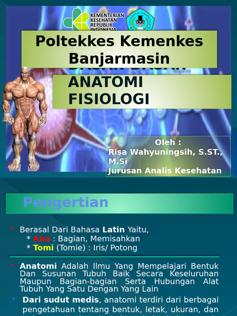 Dasar Anatomi Dan Fisiologi | PDF