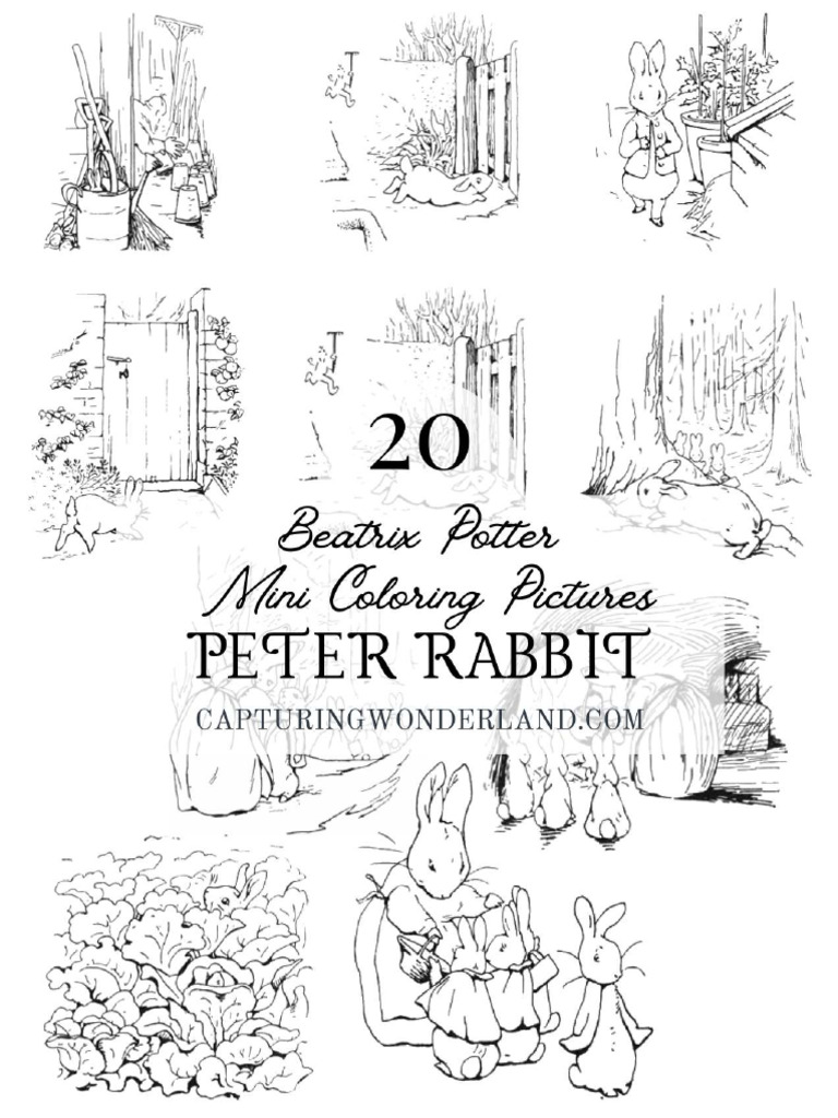 Beatrix Potter Illustrations Peter Rabbit | PDF