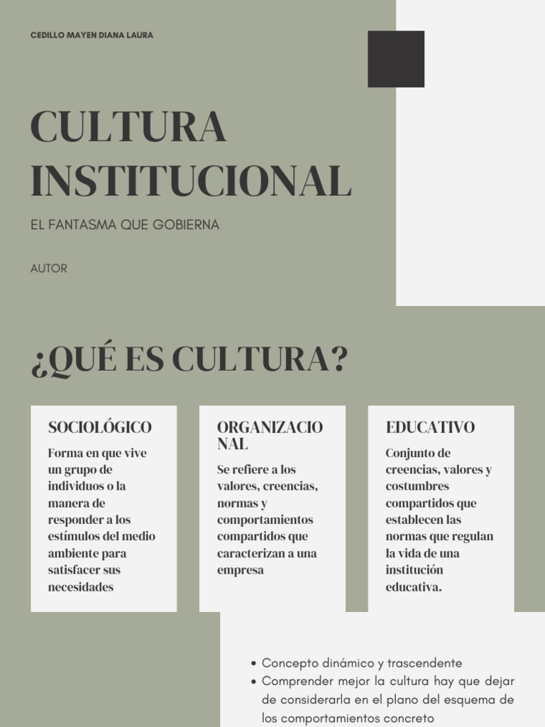Cultura Institucional | PDF