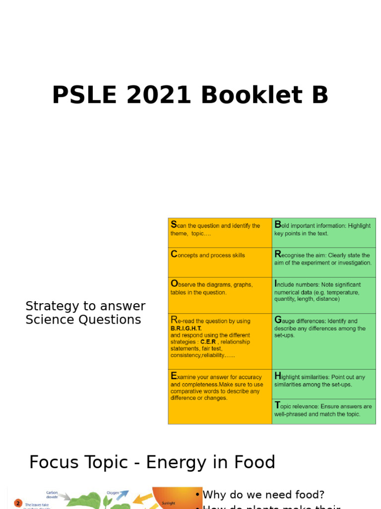 PSLE 2021 Revision - V2 | PDF