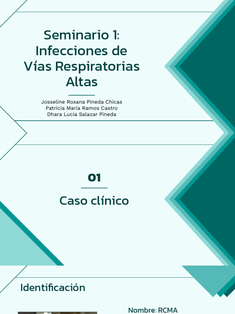 Seminario 1 - IRAS | PDF