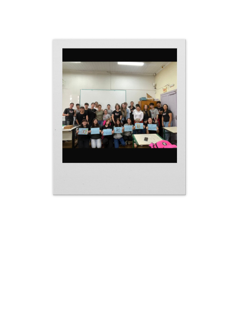 Polaroid | PDF