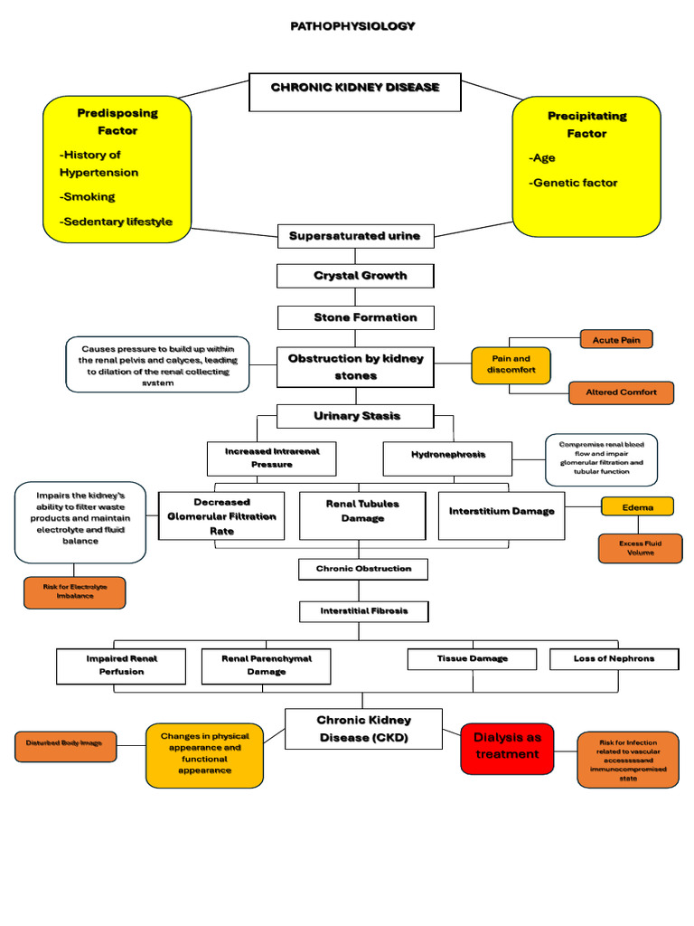 Patho Ckd Hd | PDF