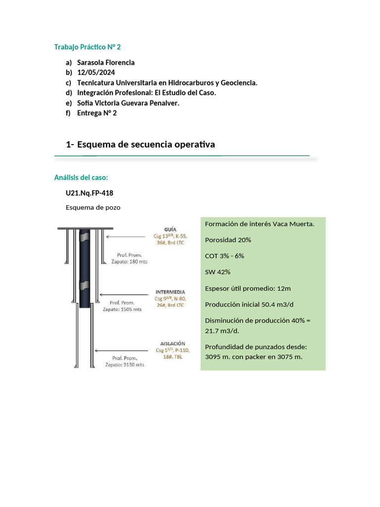 Secuencia Operativa en Vaca Muerta | PDF