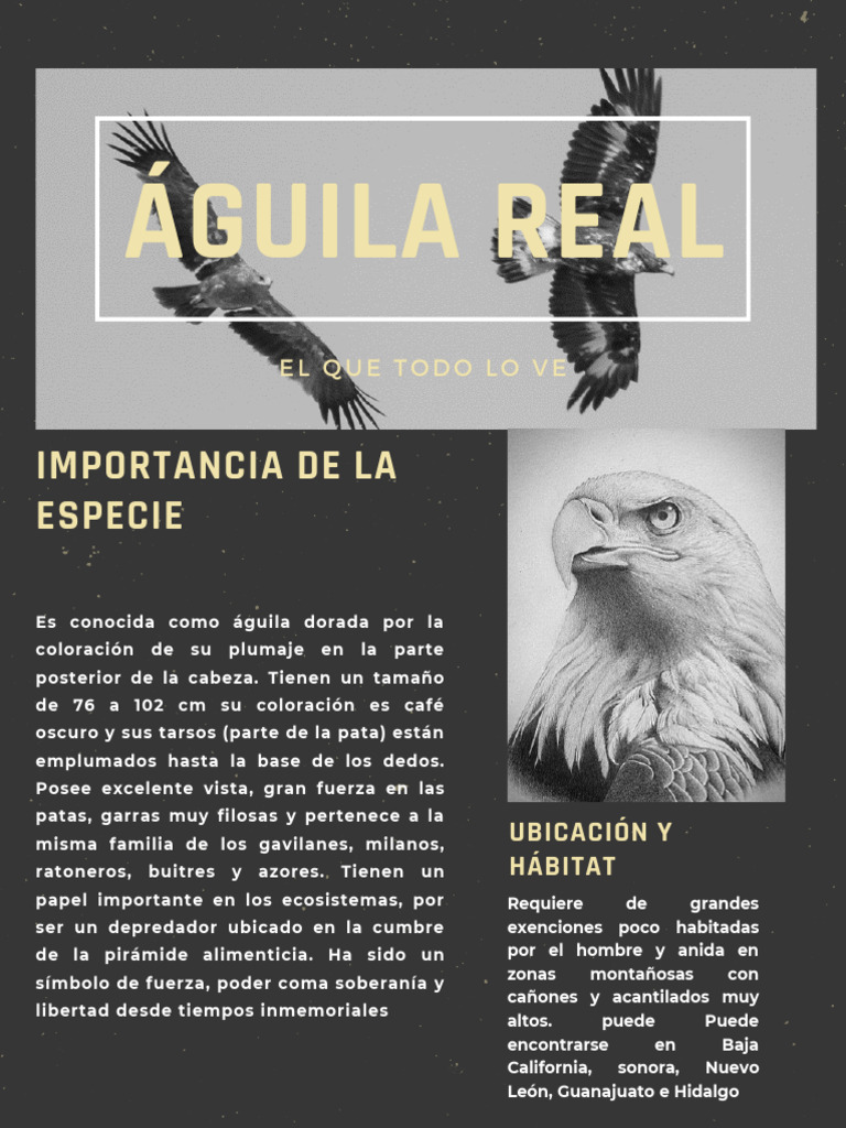 Aguila Real | PDF