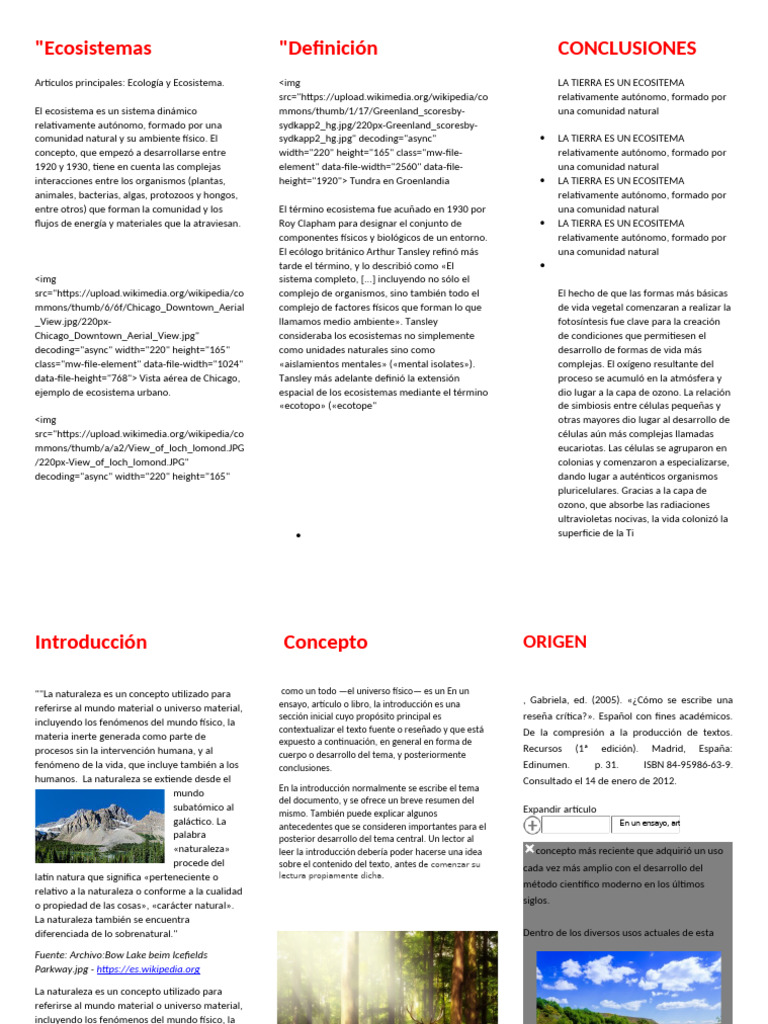 Triptico Karyn | PDF